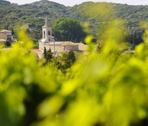 Cru Lirac – Lirac, un Cru grandeur Nature